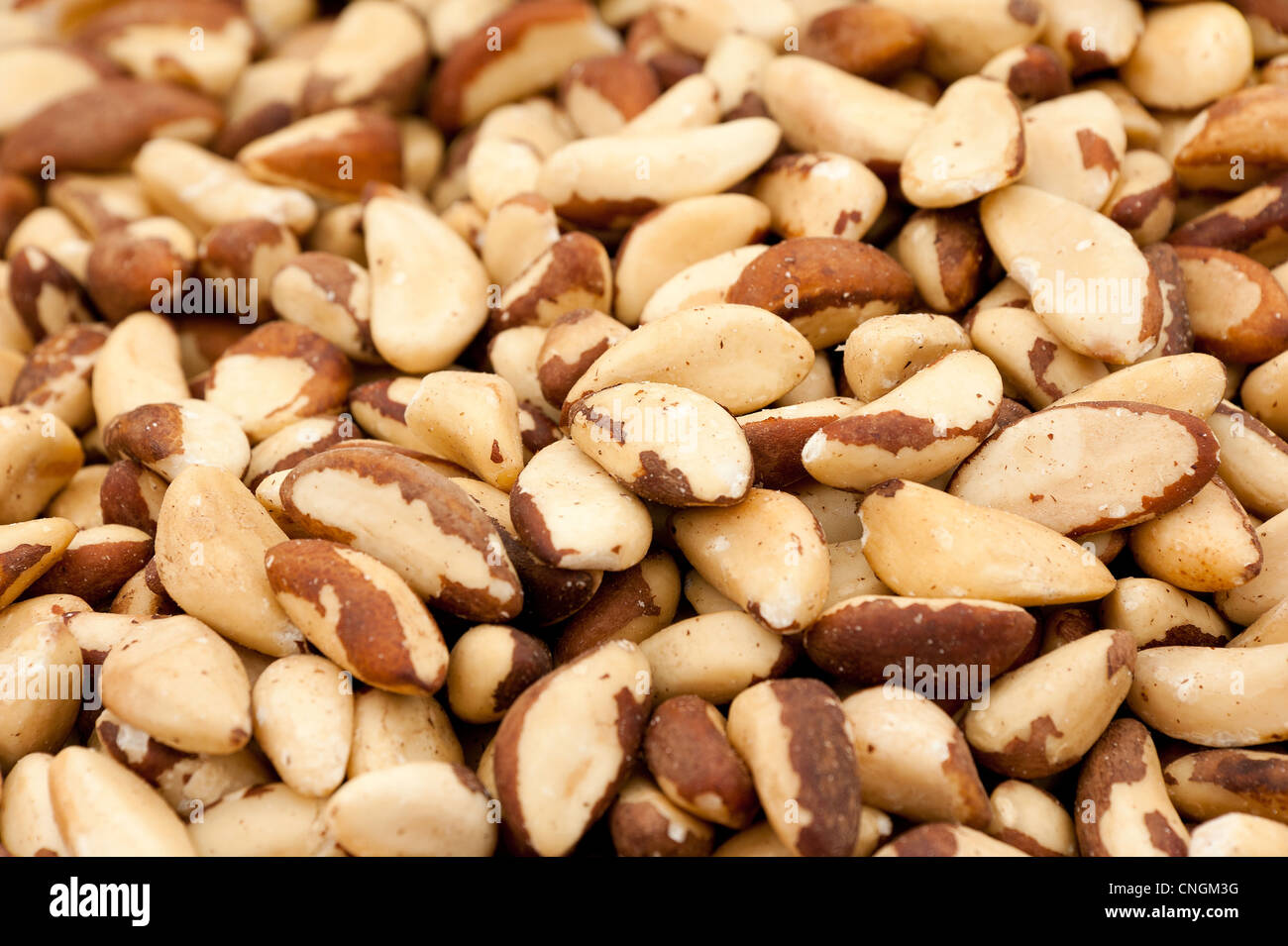 Background of shelled Brazil nuts - shallow depth of field Stock Photo ...