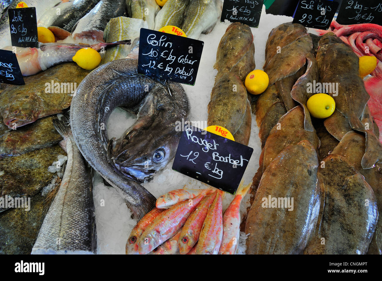 Fresh fish and seafood on display at indoor fish market in the port of ...