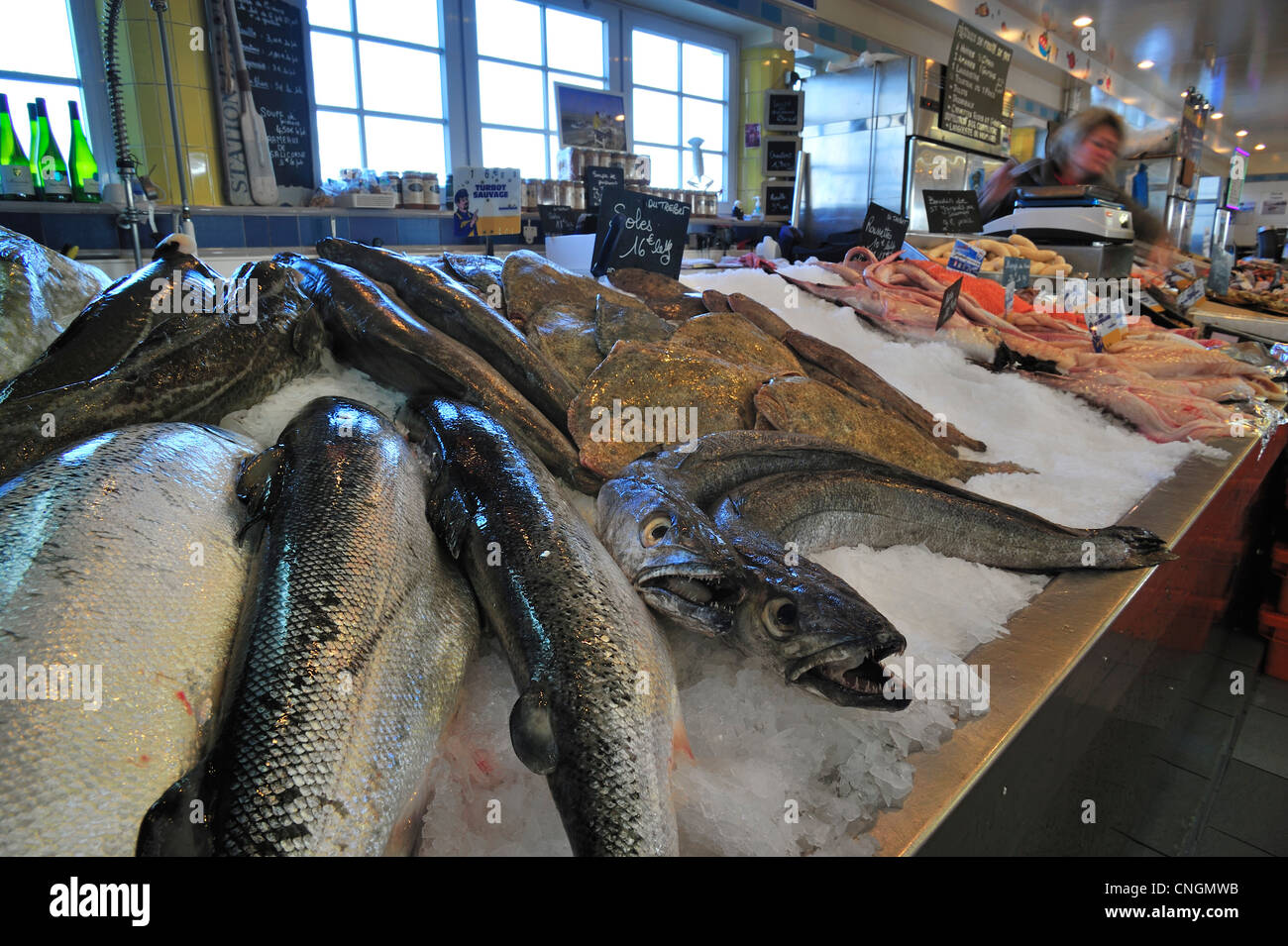 Fresh fish and seafood on display at indoor fish market in the port of ...