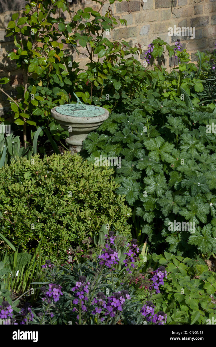 Sundial in Garden Border with herbaceous plants Stock Photo - Alamy