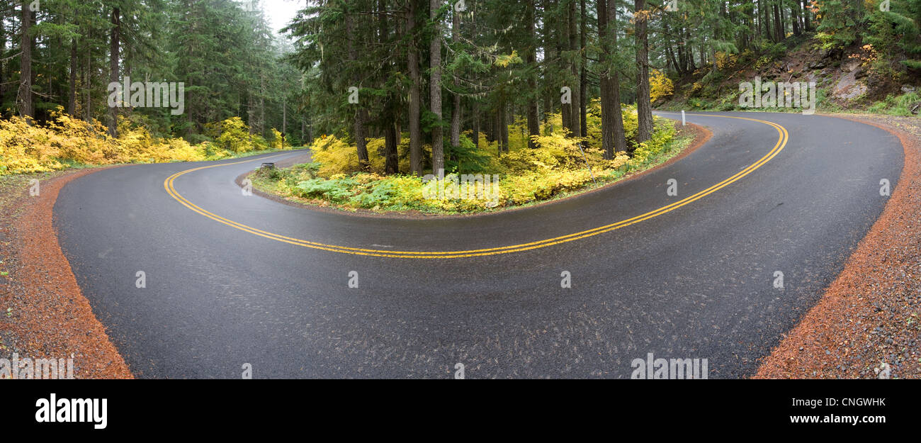 A curve in the road on the McKenzie Highway in Oregon on a foggy Autumn morning Stock Photo - Alamy