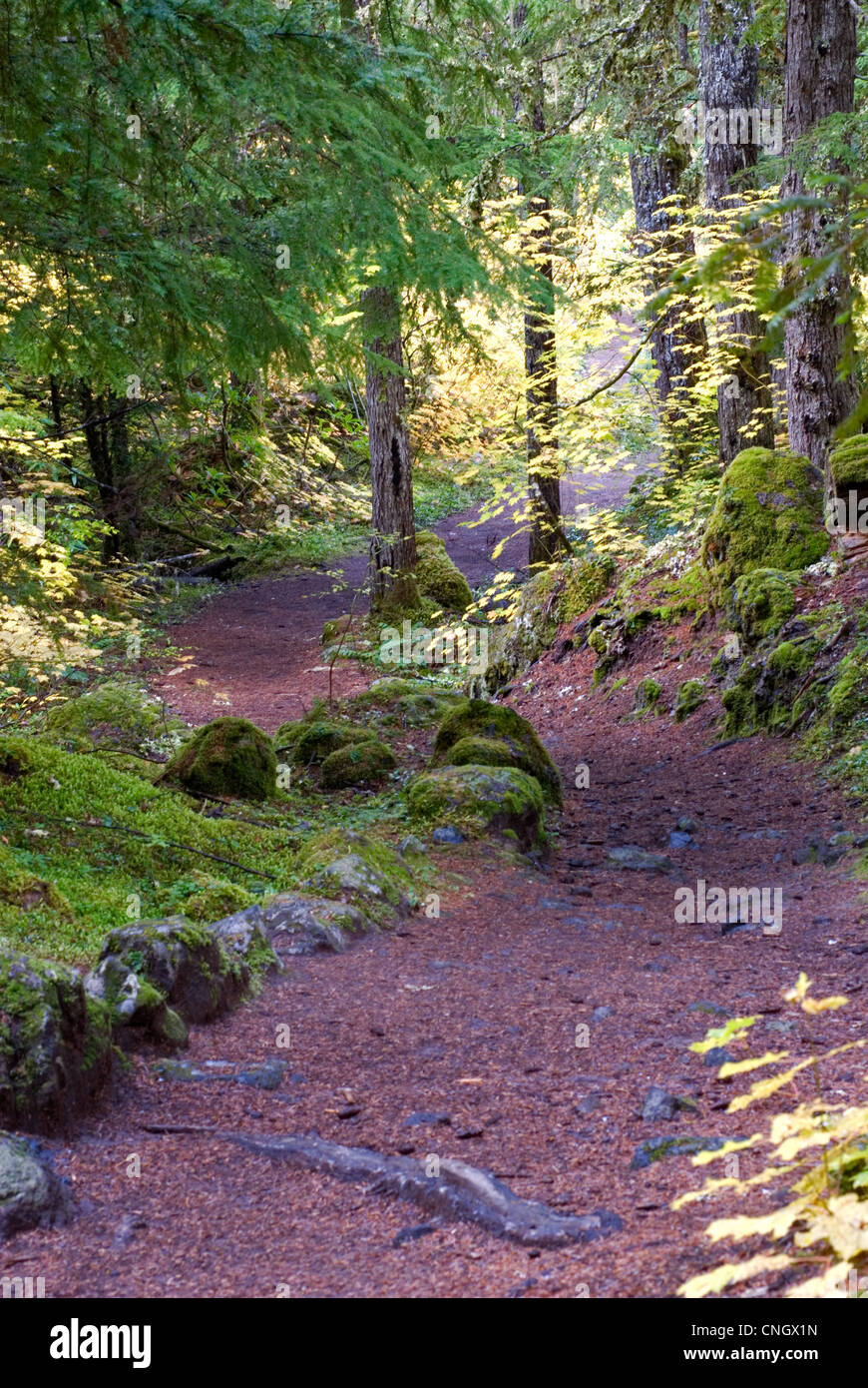 Cinder path hi-res stock photography and images - Alamy