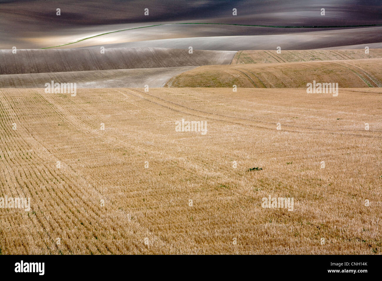Free large field of wheat uk hi-res stock photography and images - Alamy