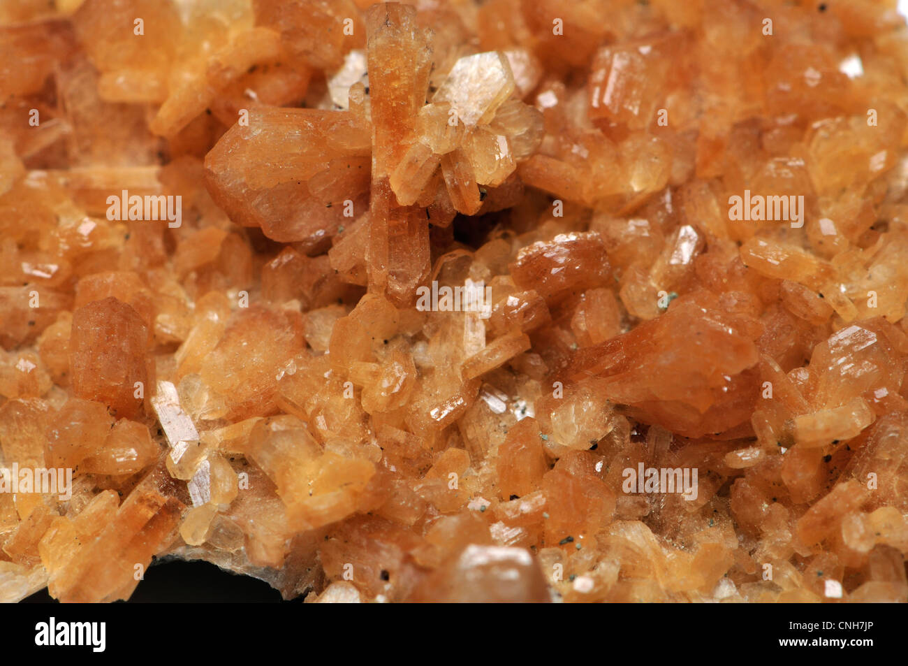 Orange / Brown Stilbite crystals (from Moorse Station Quarry, New ...