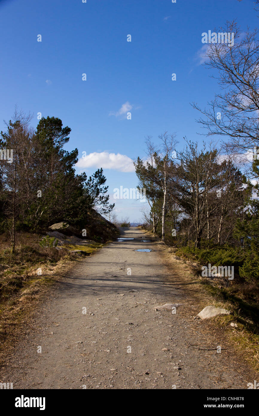 Picture of a man made pathway in nature Stock Photo - Alamy