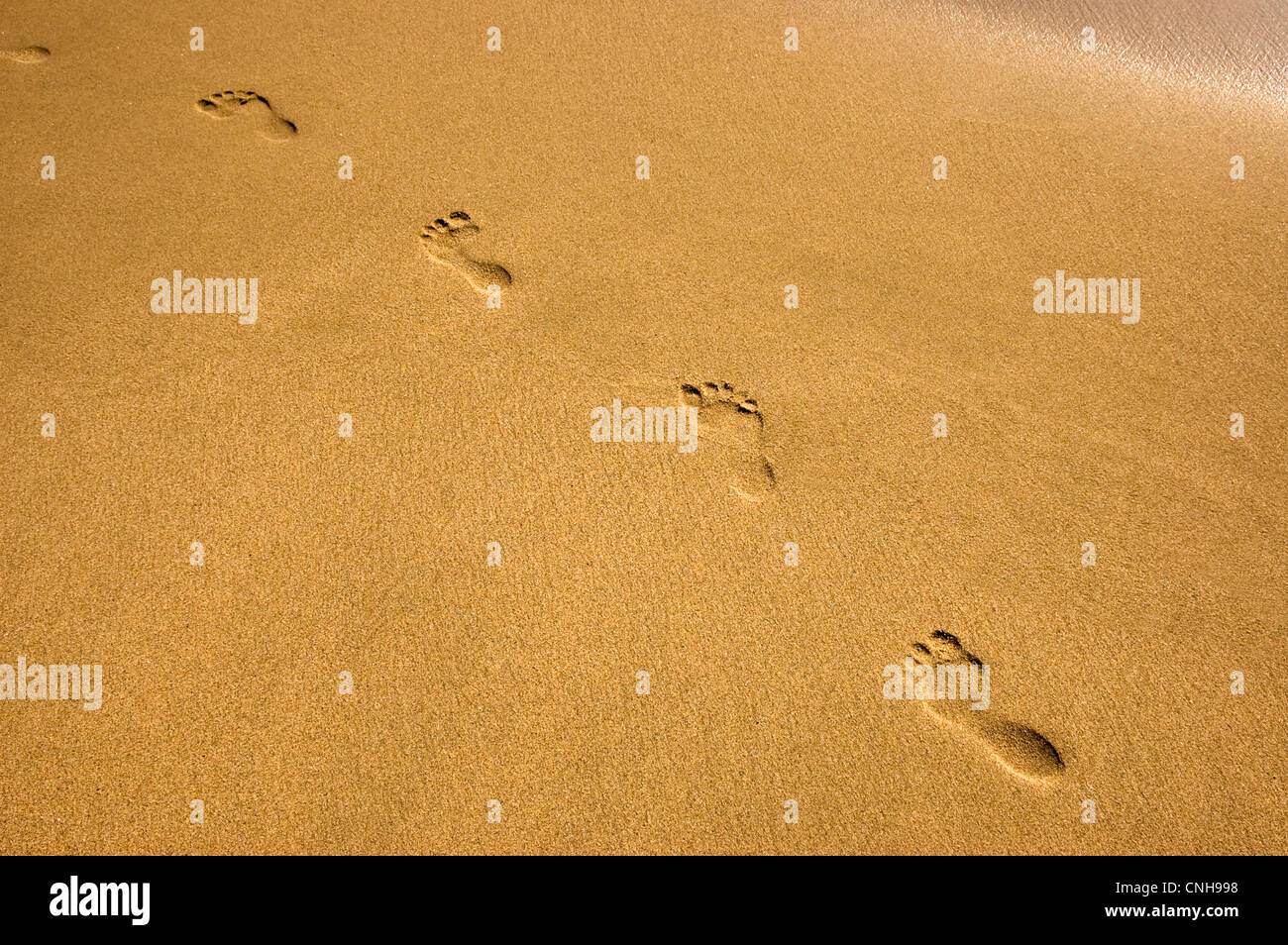Wave footprints in the sand hi-res stock photography and images - Alamy