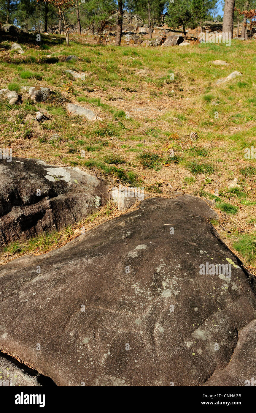 Ancient Rock Art Glyphs. Galicia, Spain Stock Photo - Alamy