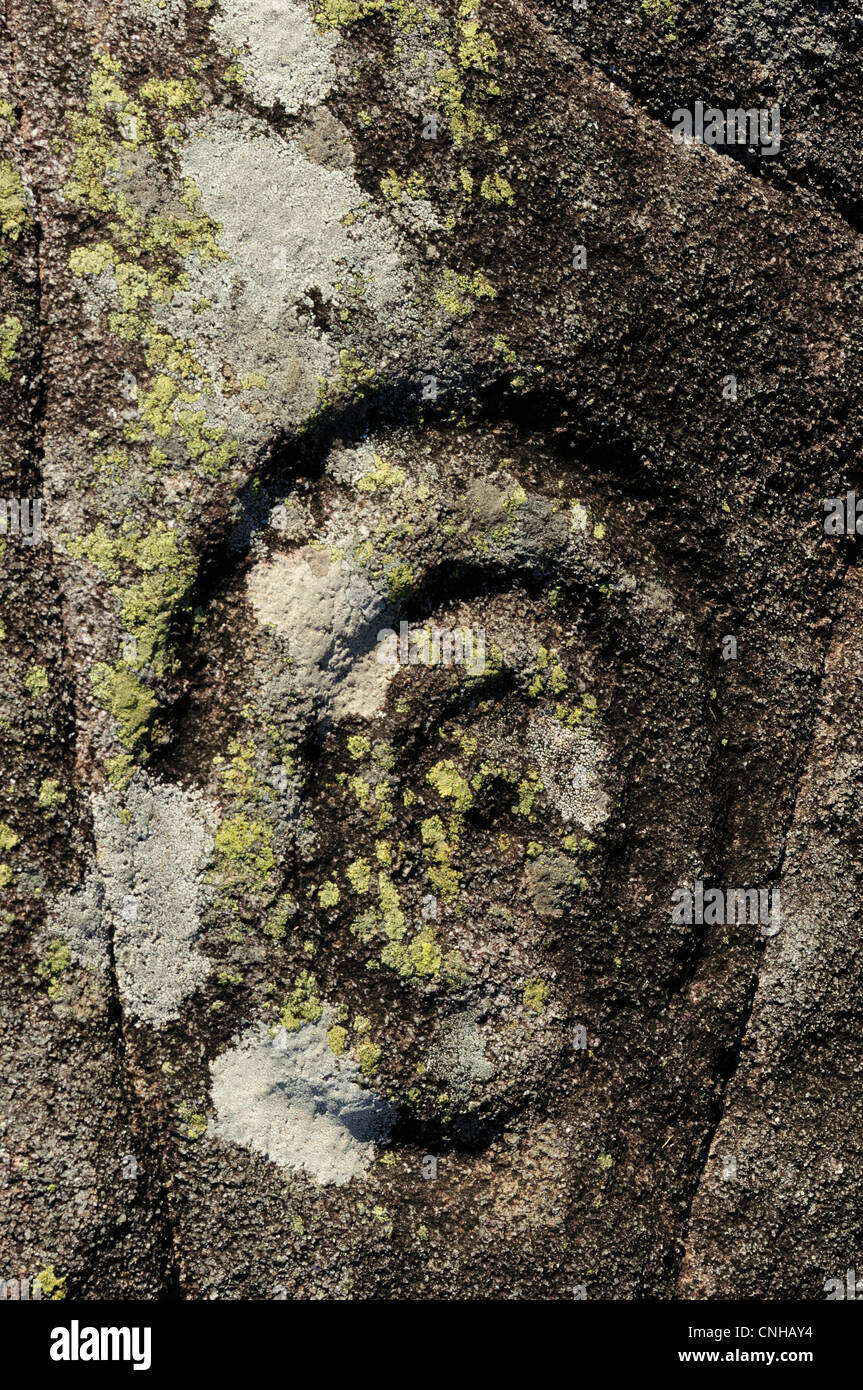 Ancient Rock Art Glyphs. Galicia, Spain Stock Photo - Alamy