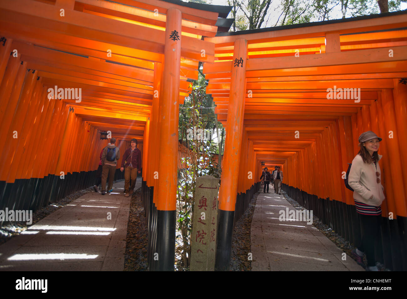 The tunnel and path of red torii gates leading to the Inner Shrine at ...