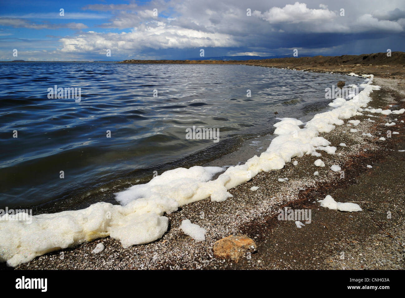 San jose alviso marina county hi-res stock photography and images - Alamy