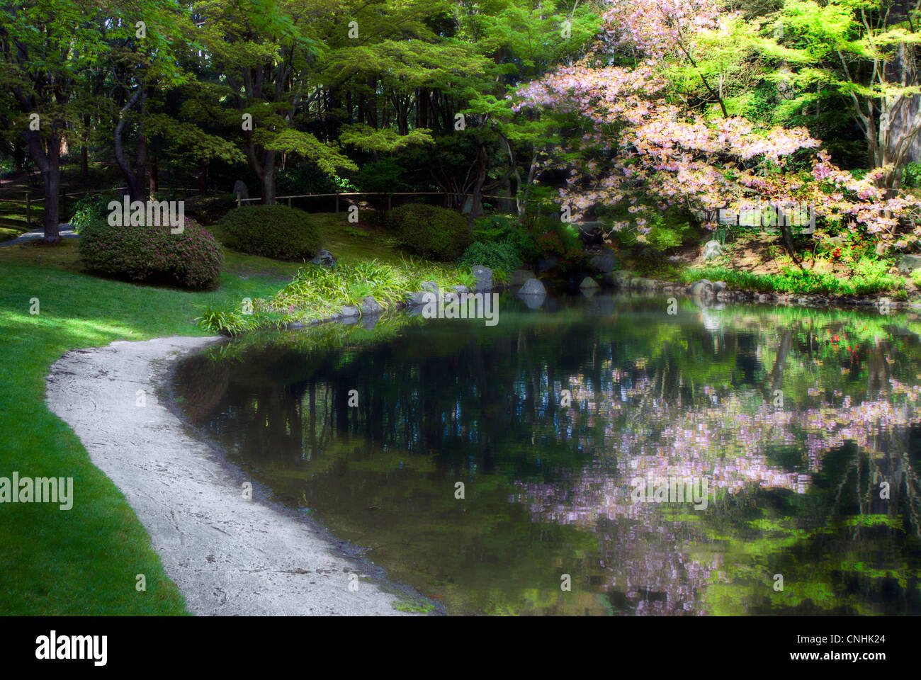 Pond and walkway in a park during spring Stock Photo - Alamy