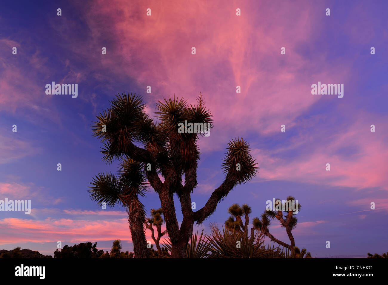 Pink dusk clouds desert hi-res stock photography and images - Alamy