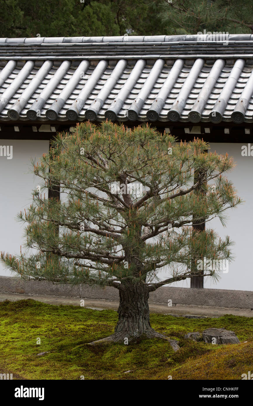 Southern Garden designed by landscape sculptor Shigemori Mirei, at ...
