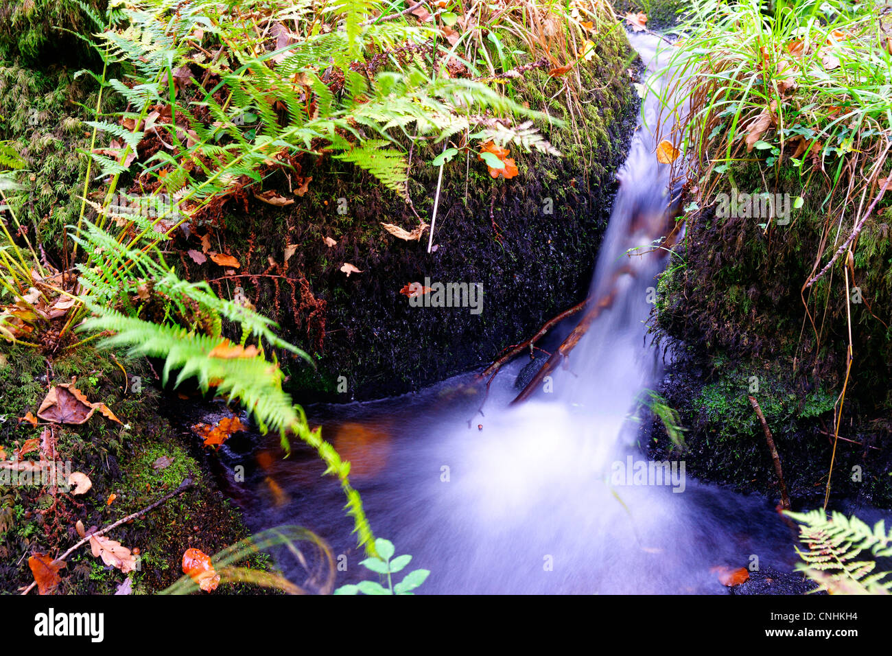 Waterfalls are to be found all over Dartlmoor. None are more beautiful ...