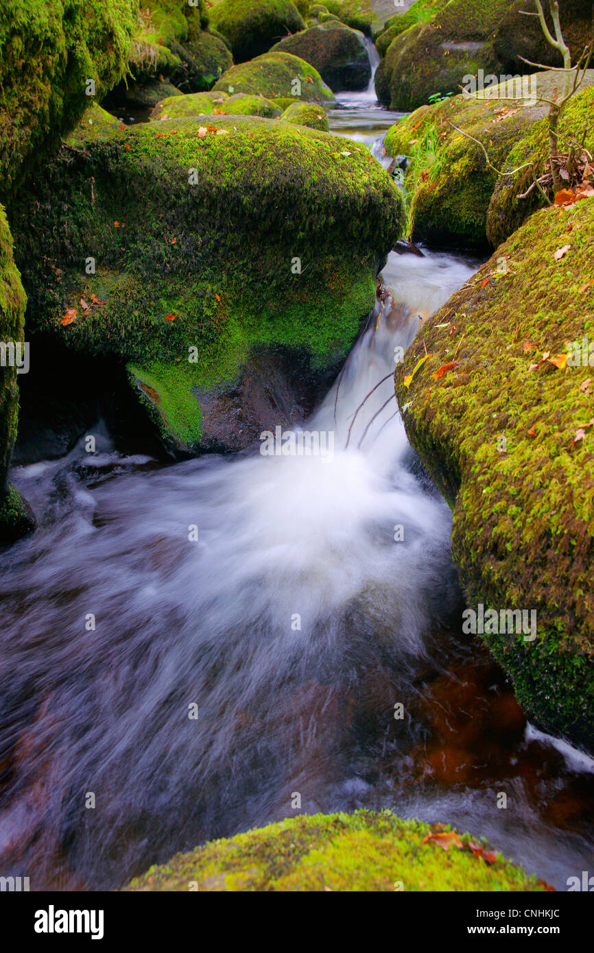 Waterfalls are to be found all over Dartlmoor. None are more beautiful ...