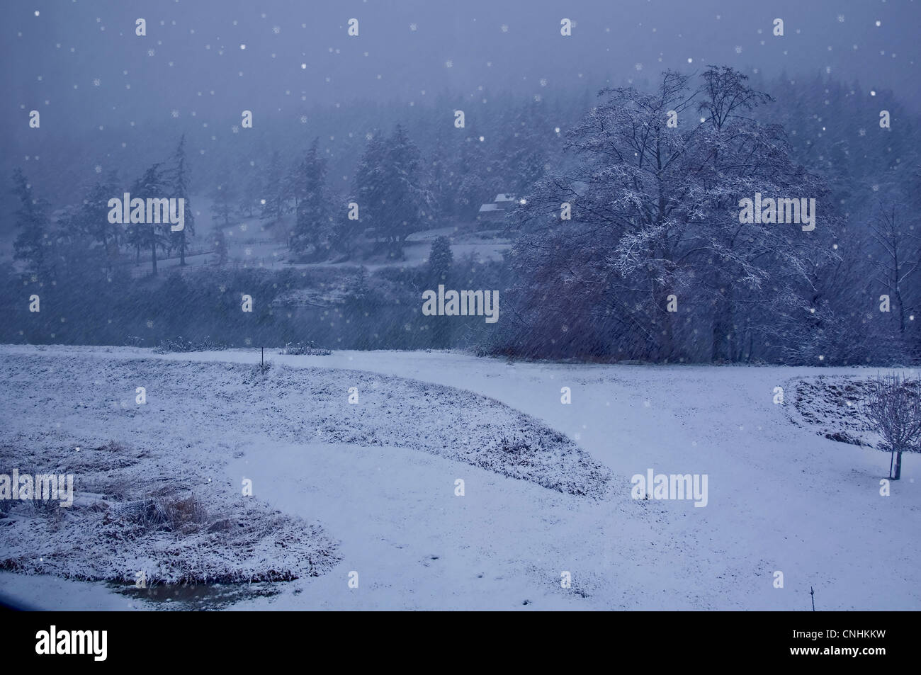 landscape is a snowstorm just starting up intensively in a country ...