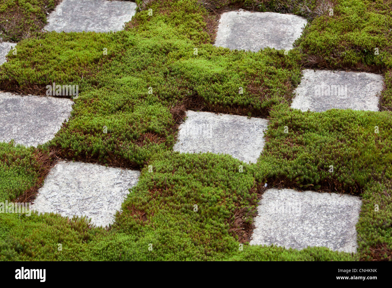 The Northern Garden, designed by landscape sculptor Shigemori Mirei, at ...