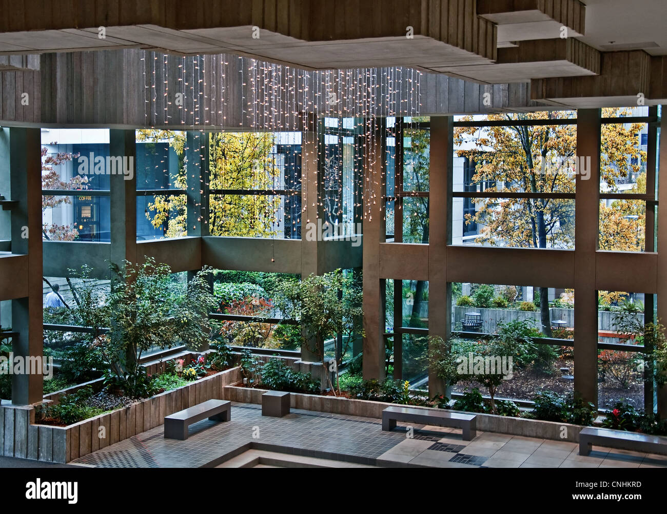 interior city building is a large wall of windows with strings of ...