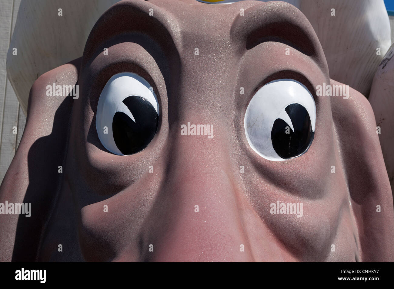 Peering eyes hi-res stock photography and images - Alamy