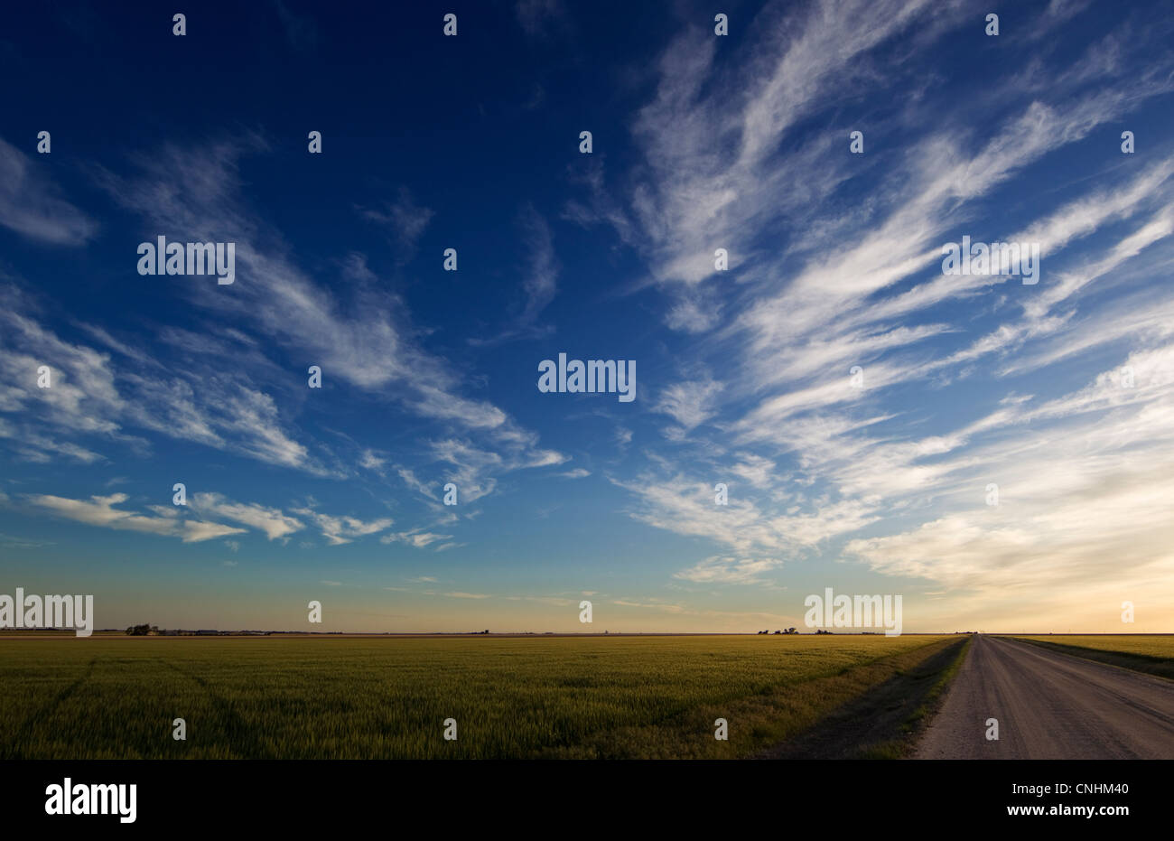 A long straight dirt road and field at sunset near Goodland, Kansas ...