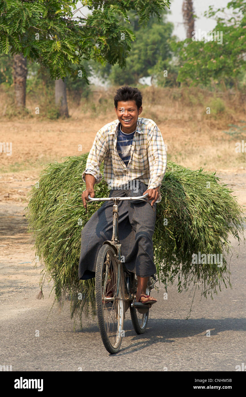 Transporting crops on a bicycle. Village life, Monywa, Burma. Myanmar ...