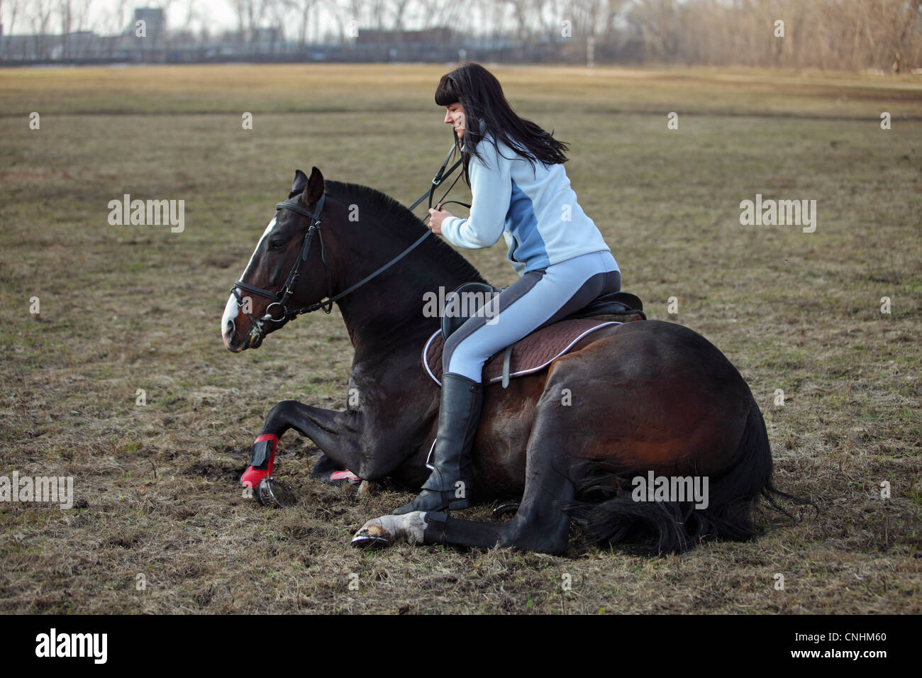 A fallen horse and rider Stock Photo - Alamy