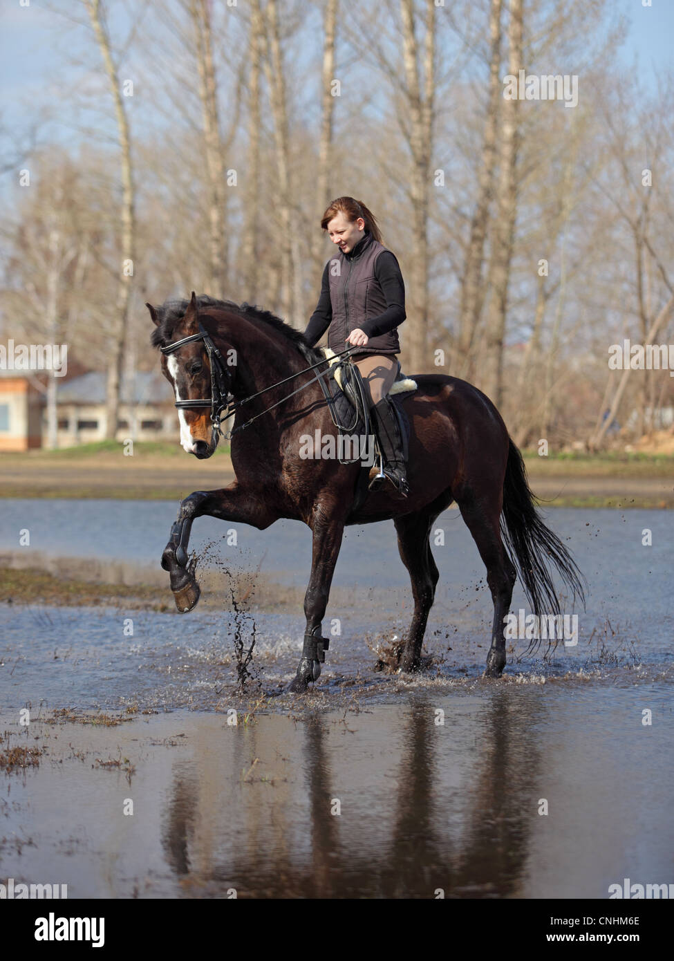 Riding horse in water hi-res stock photography and images - Alamy