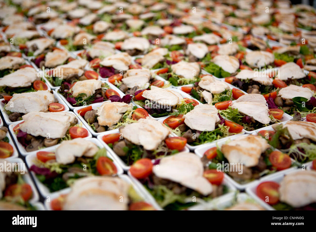 Dishes of salad arranged in rows Stock Photo - Alamy
