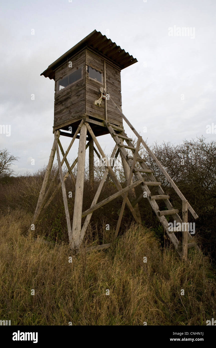 A hunting tower in a field Stock Photo - Alamy