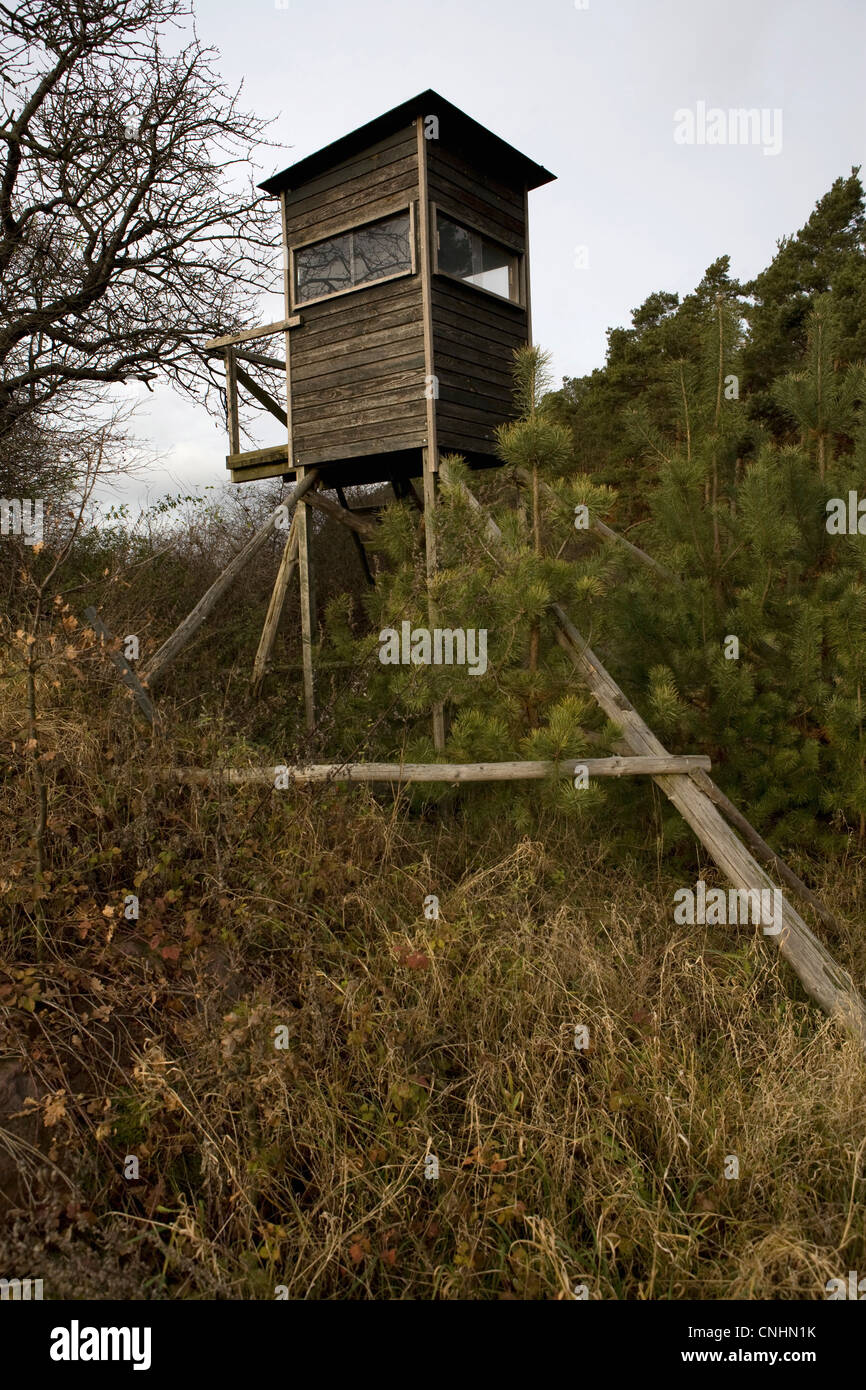 Wooden hunting tower in green hi-res stock photography and images - Alamy