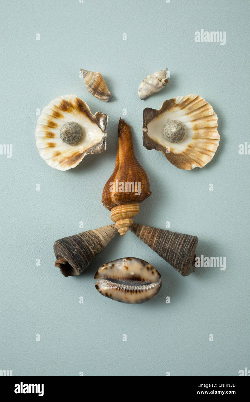 Seashells arranged into a face Stock Photo - Alamy