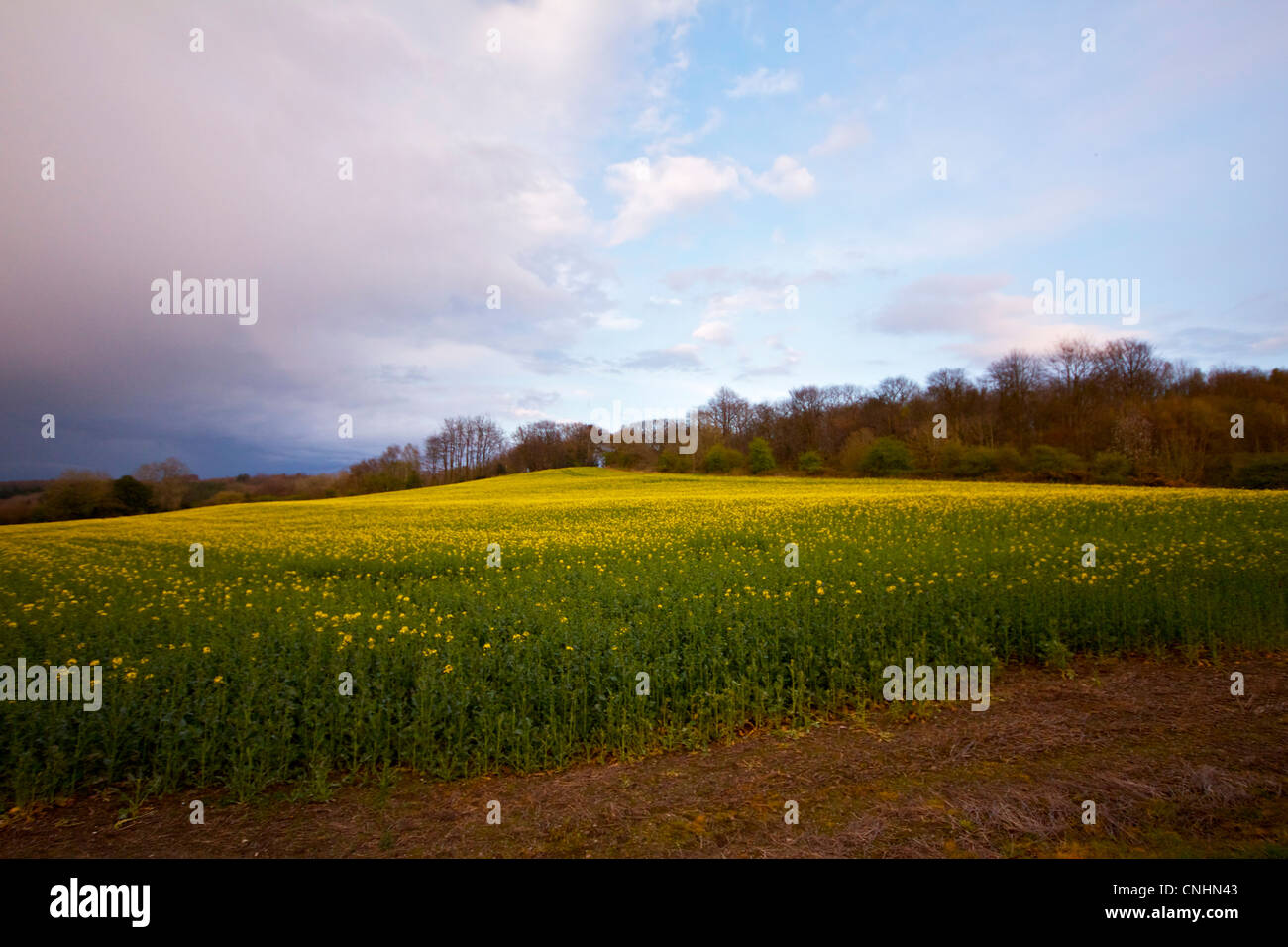 Sevenoaks countryside hi-res stock photography and images - Alamy