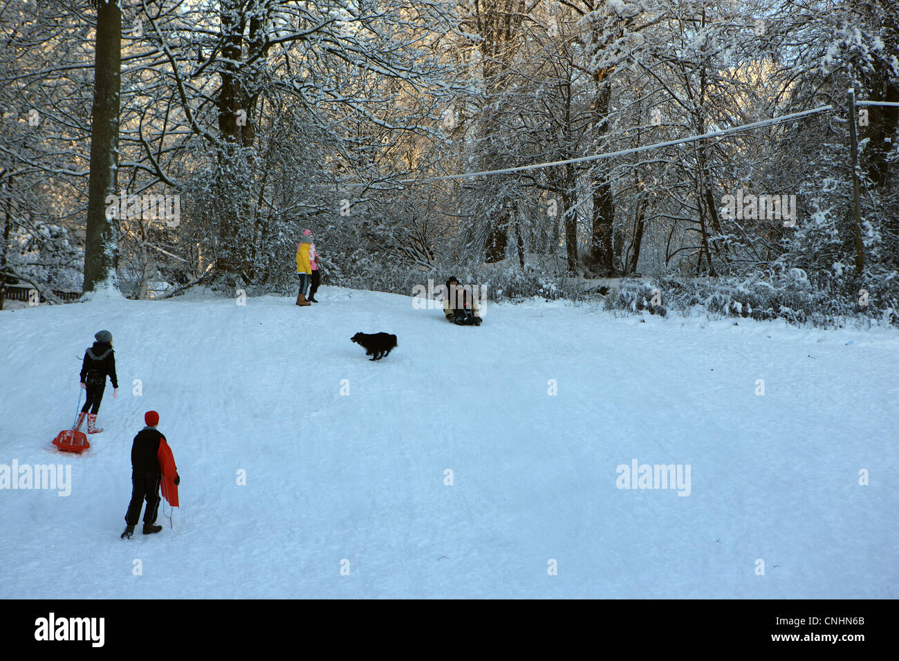Sledging uk hi-res stock photography and images - Alamy