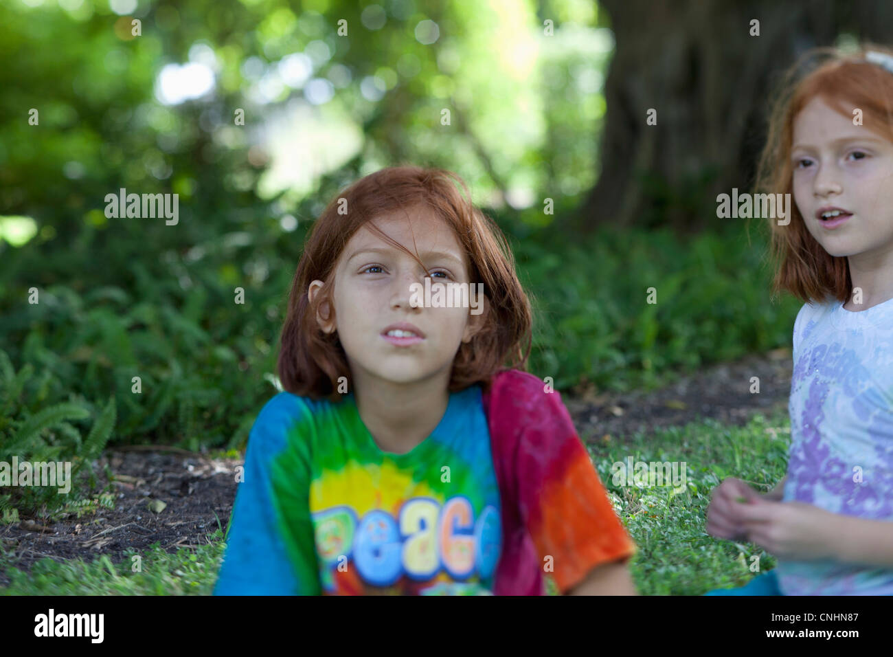 Siblings tree 10 11 hi-res stock photography and images - Alamy