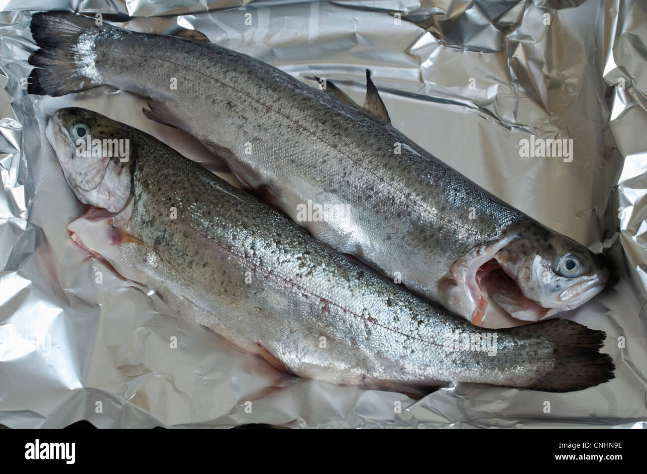 Rainbow Trout - two raw fresh wet fish - placed in a dish covered in ...