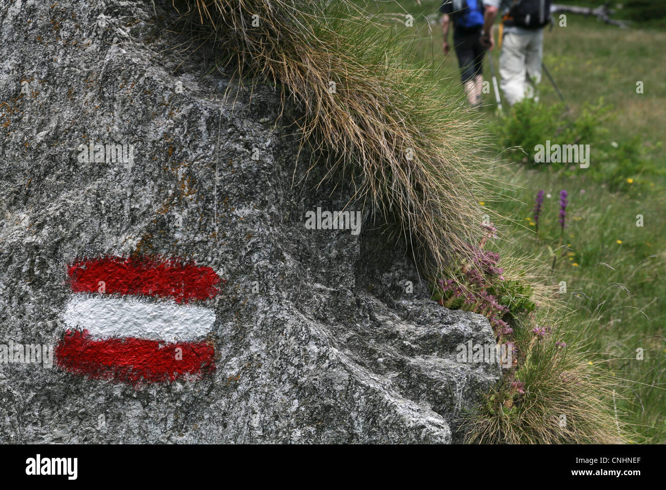 Painted symbol on a rock marking a hiking trail, Piedmont, Italy Stock ...