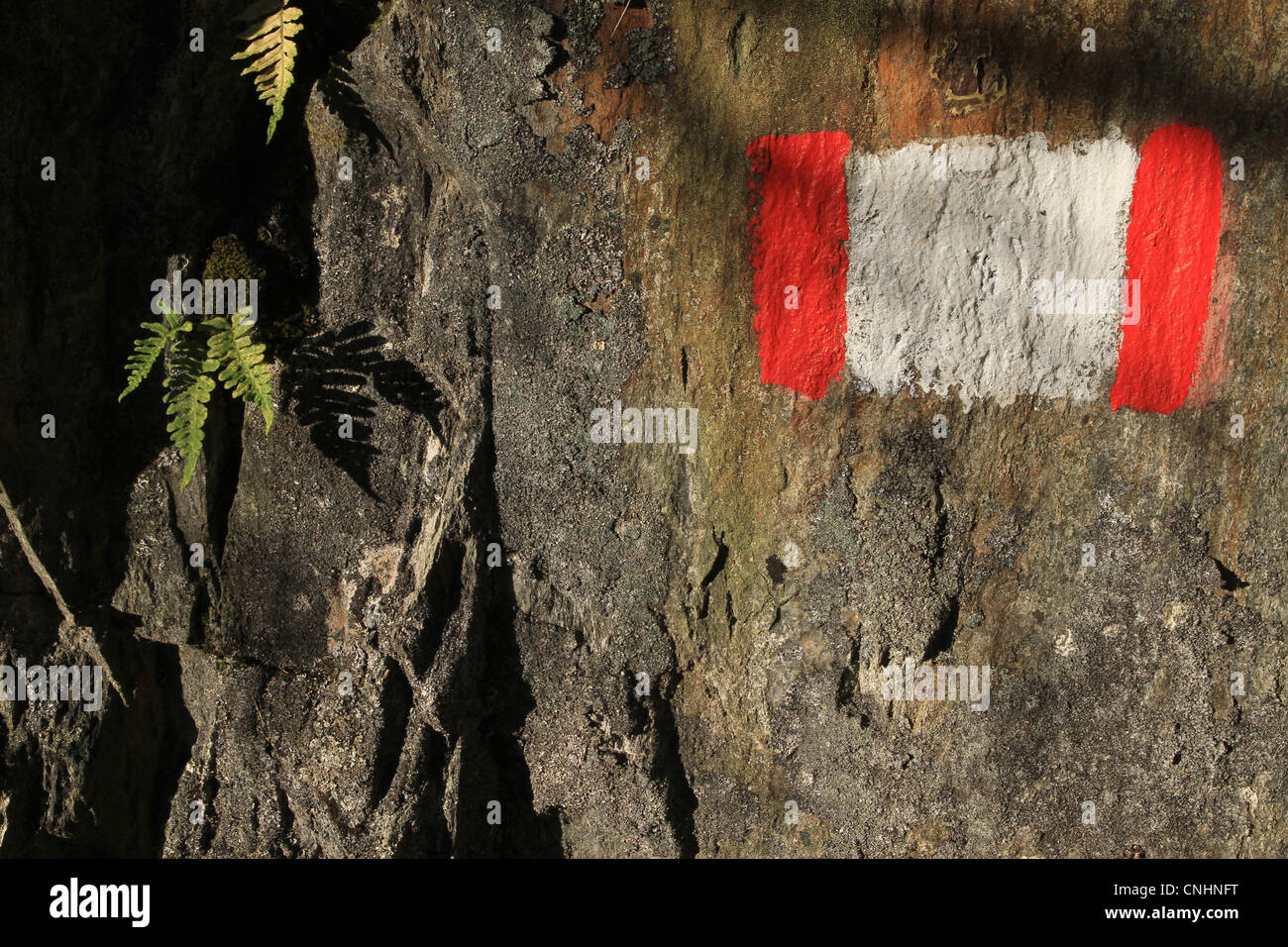 A painted symbol on a rock marking a trail, close-up Stock Photo - Alamy