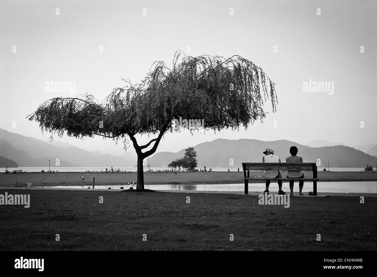 Rear view of two people sitting on a bench Black and White Stock Photos ...