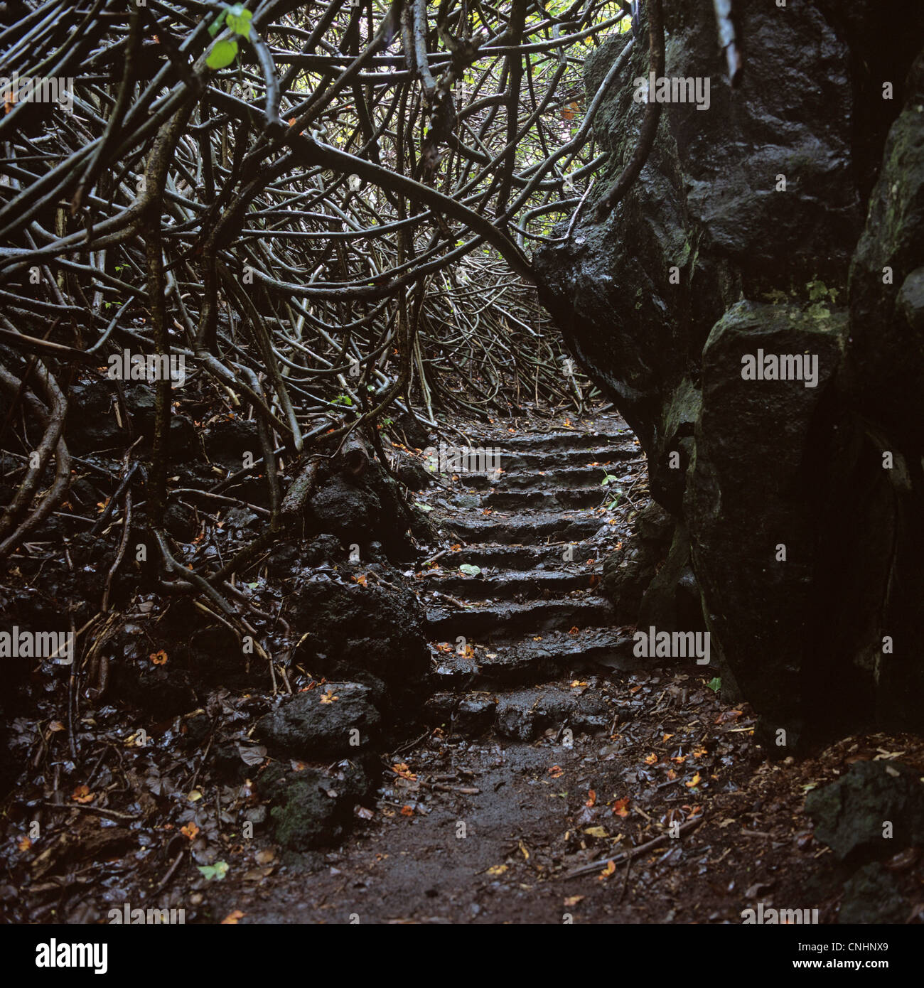 Maui vacations hi-res stock photography and images - Alamy
