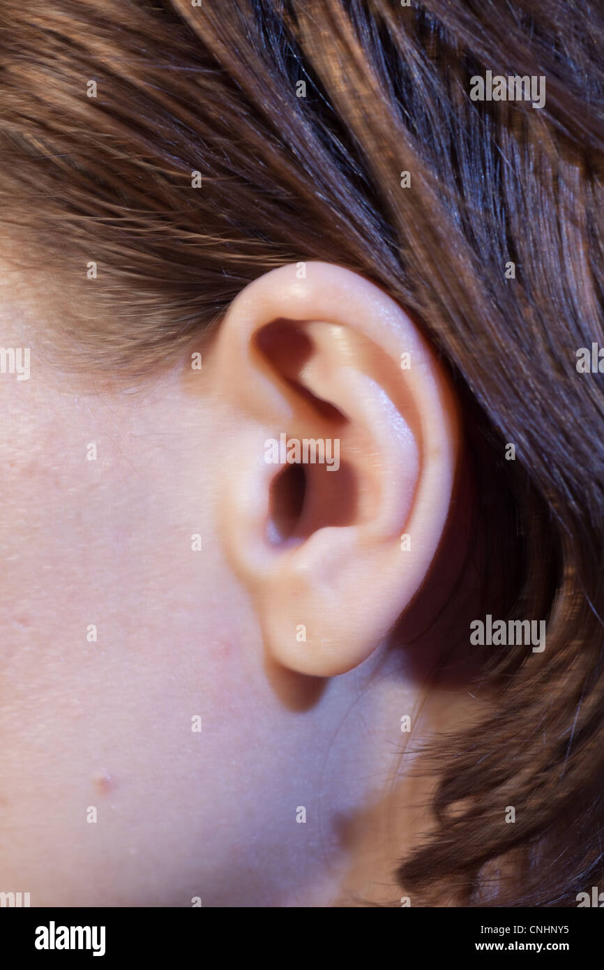Young woman ear Stock Photo - Alamy