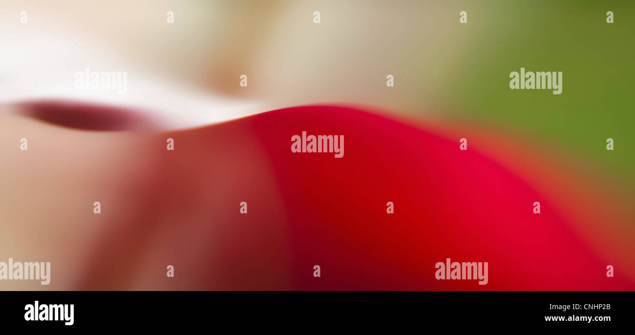 Abstract colored forms and light Stock Photo - Alamy