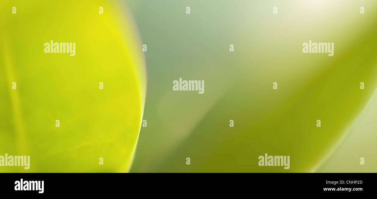 Abstract colored forms and light Stock Photo - Alamy