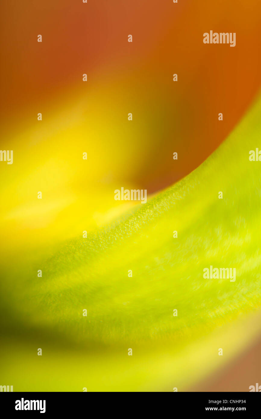 Abstract colored forms and light Stock Photo - Alamy