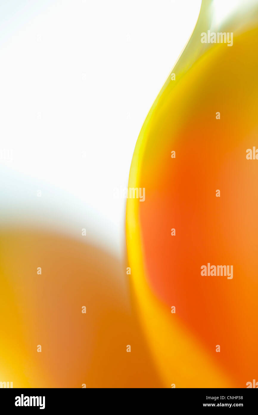 Vibrant forms hi-res stock photography and images - Alamy