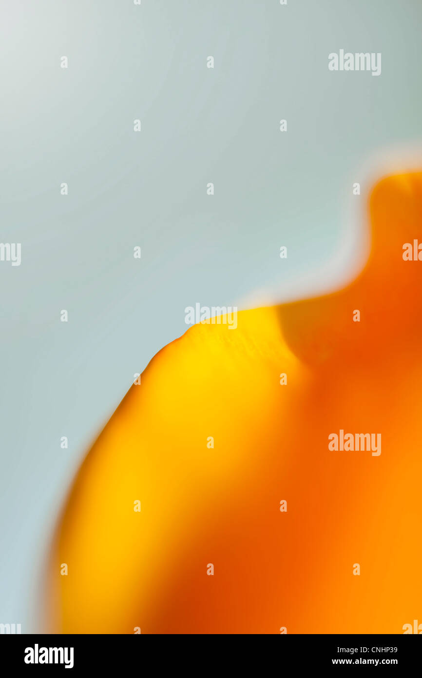 Abstract shape hi-res stock photography and images - Alamy