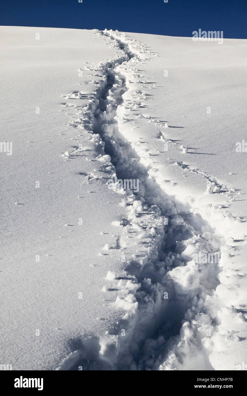 Human trail on snow Stock Photo - Alamy