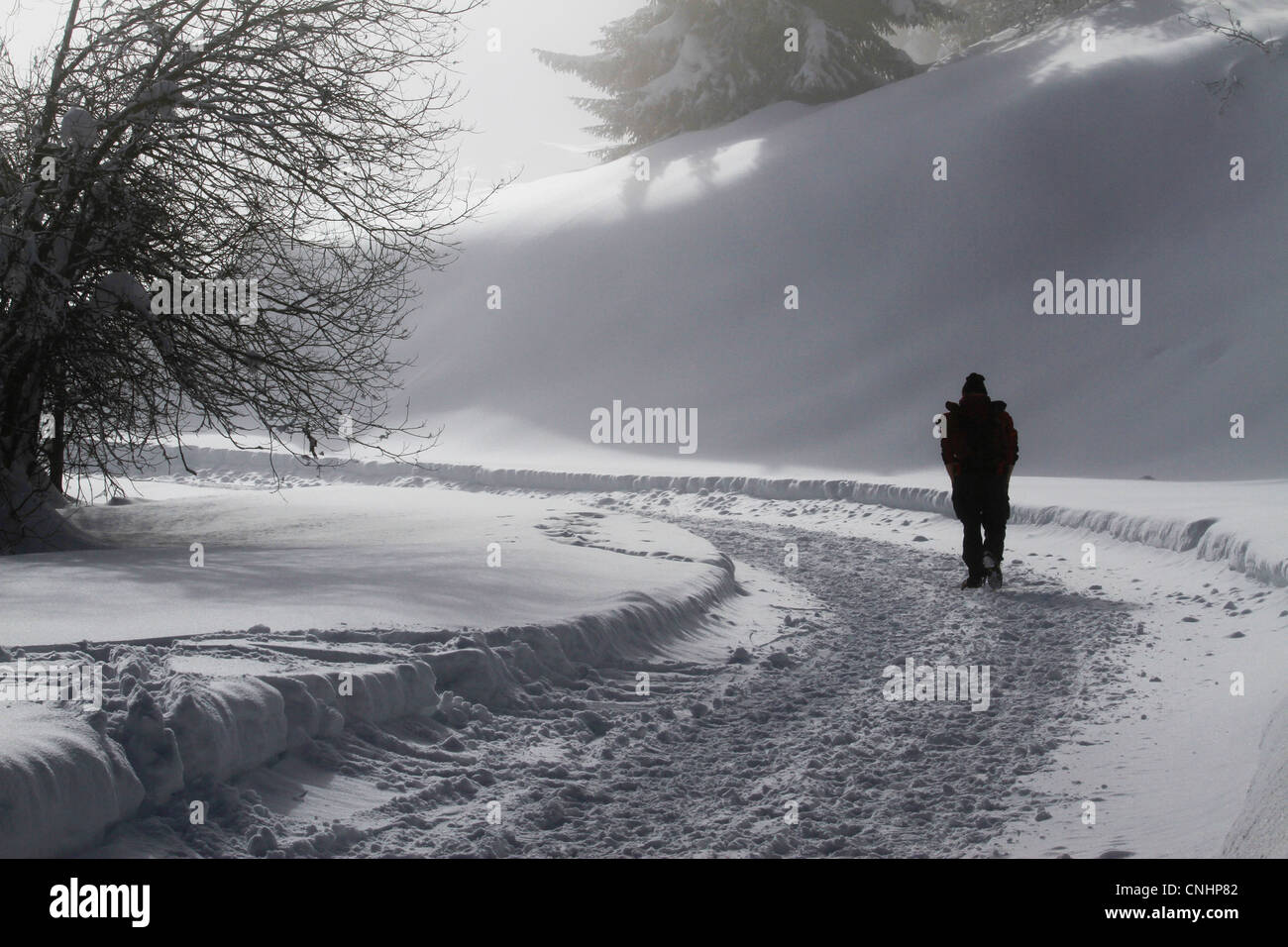 Walking along snow path in hi-res stock photography and images - Alamy
