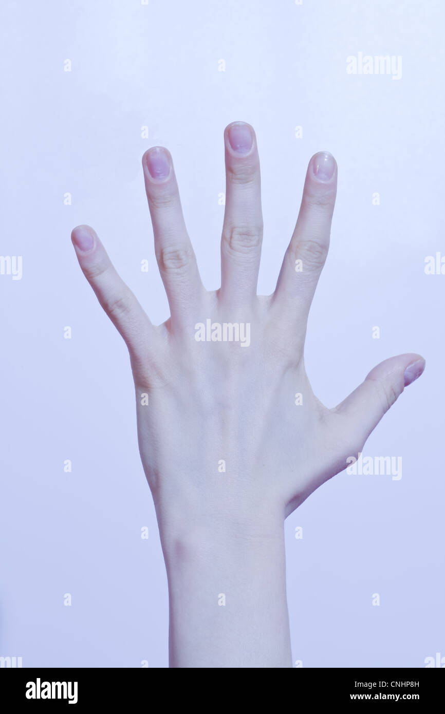 Empty open woman hand isolated on white background Stock Photo - Alamy