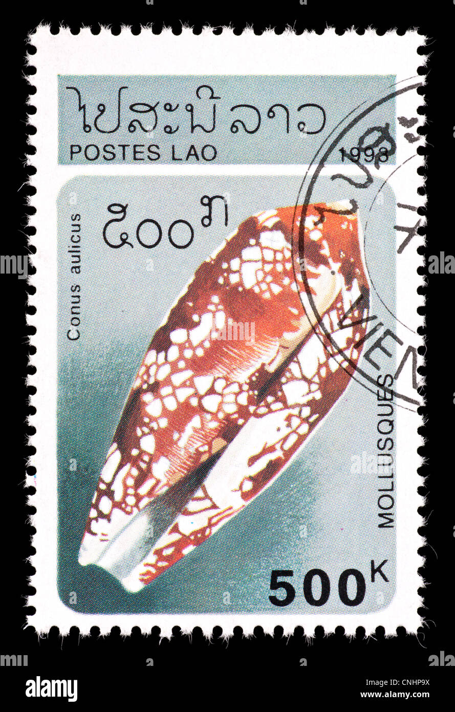 Postage stamp from Laos depicting sea snail, the princely cone shell ...