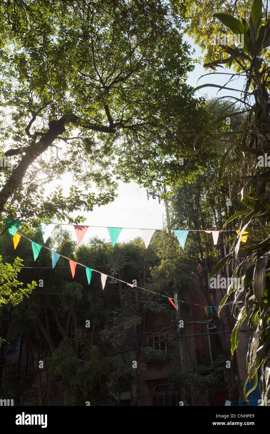 A string of multi colored flags hanging amongst trees in a backyard ...